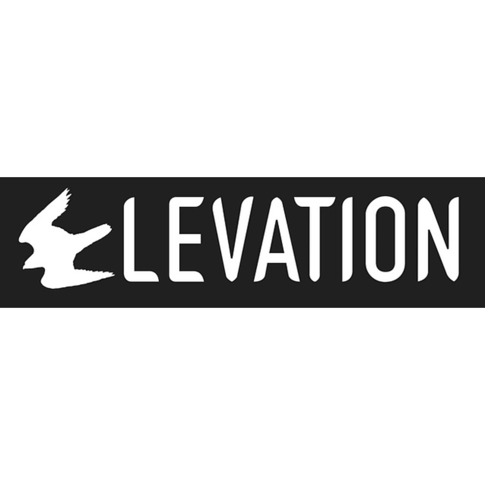 Elevation Discs – Dachshund Discs